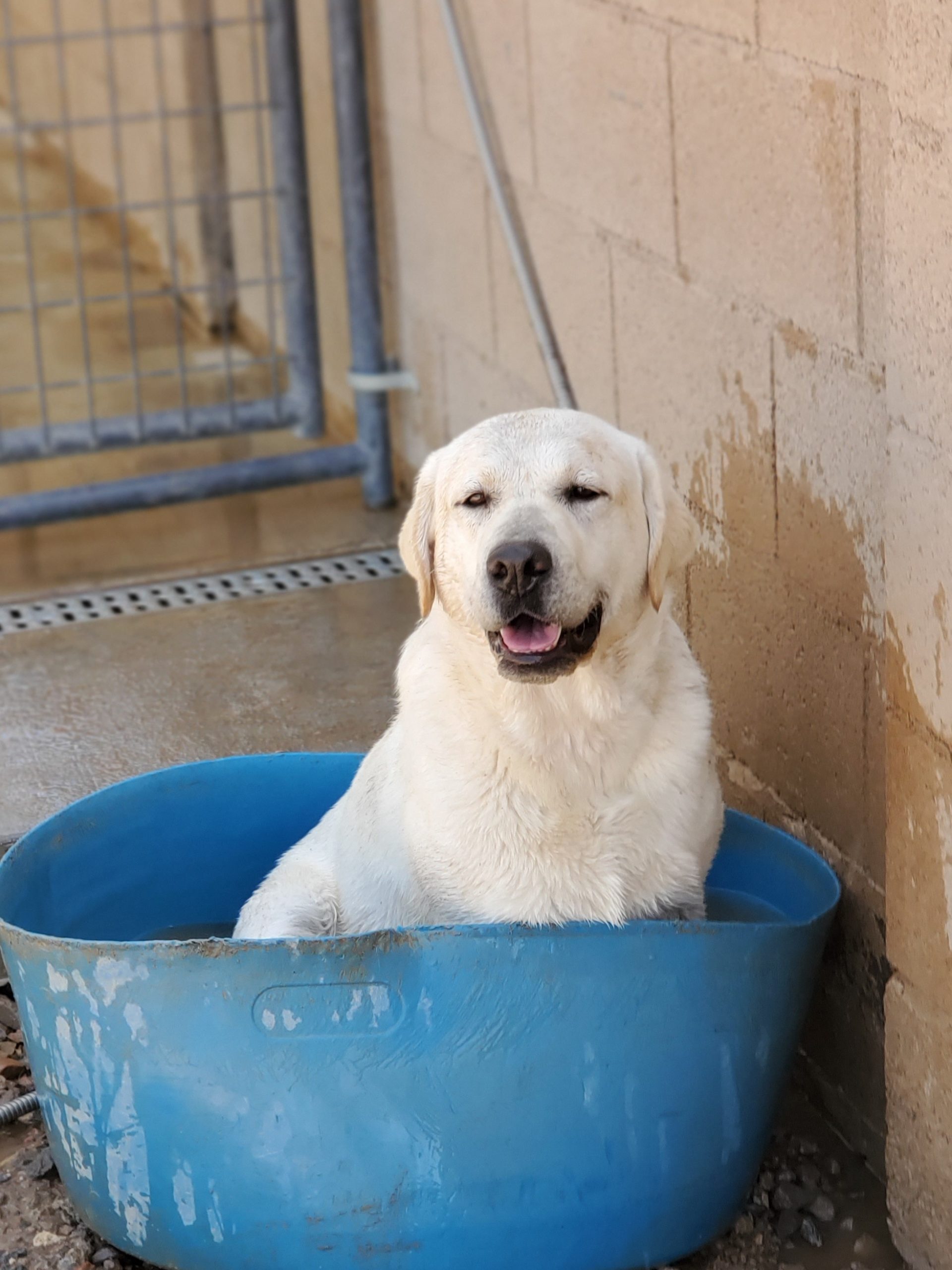 Winnie